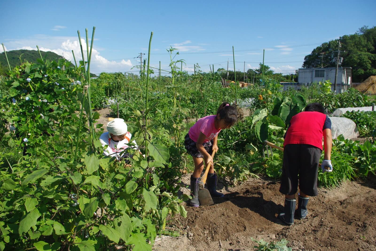 Weekend Farming in Japan: What’s It All About - Therapy, Social ...